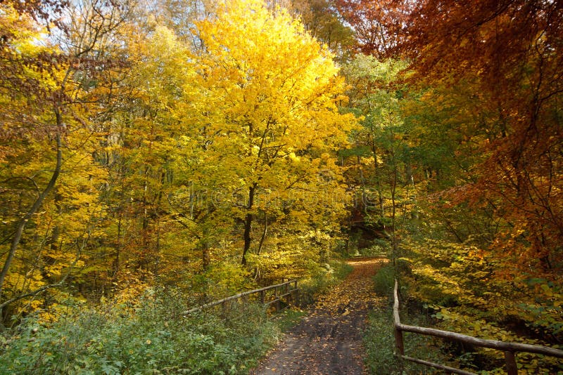 Colours of Autumn stock photo. Image of park, forest - 21721266