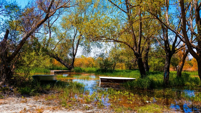 Colours of nature stock image. Image of destination - 168393413