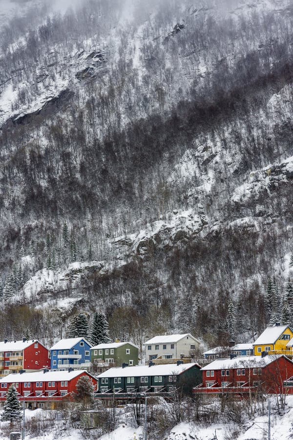 Colours in the snow stock photo. Image of nature, winter - 35335214