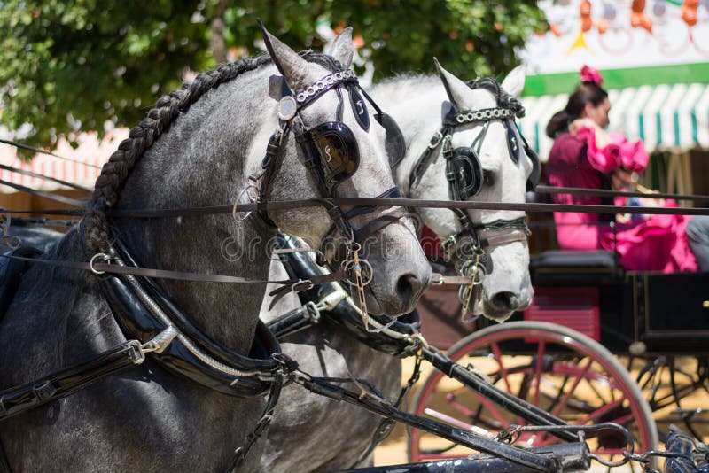 Colours Spanish Carriages Stock Photos - Free & Royalty-Free Stock ...