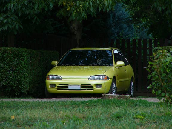 Colt 1 stock photo. Image of colt, greenery, coupe, yellow - 15646