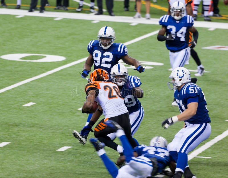 Colts-Bengals Football Game Editorial Stock Photo - Image of colts ...