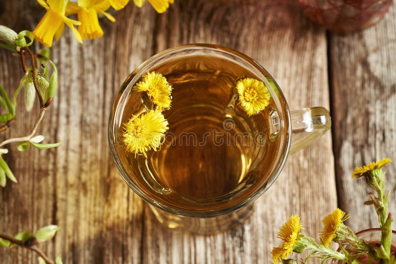 Coltsfoot Flowers in a Cup of Herbal Tea on a Table Stock Photo - Image ...