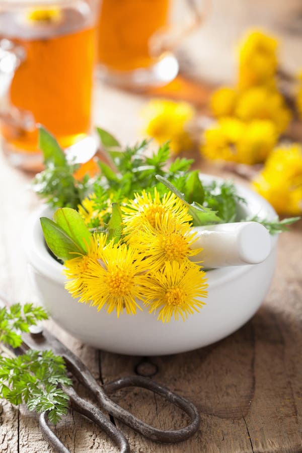 Mortar With Herbal, And Pills. Stock Image - Image of herbal ...
