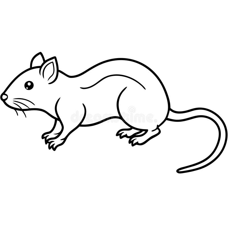 Colugo Stock Illustrations – 85 Colugo Stock Illustrations, Vectors ...