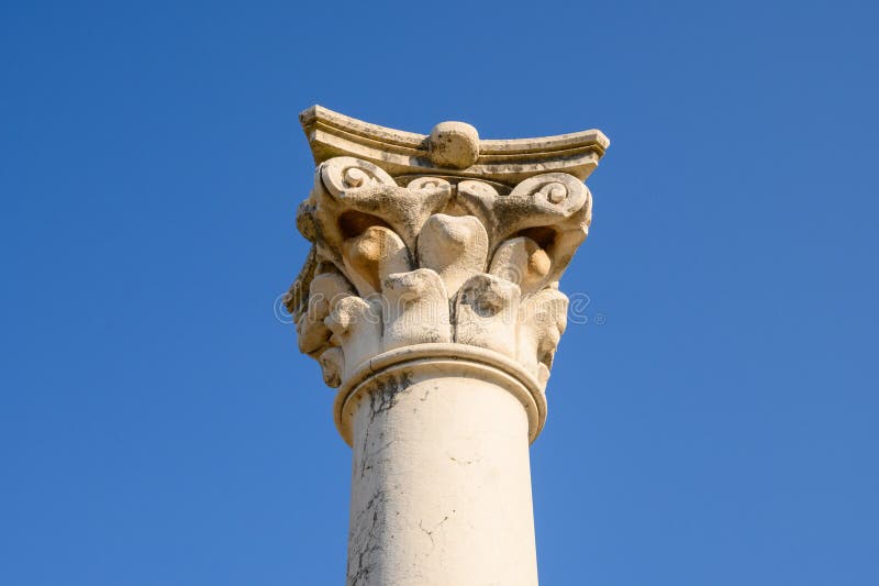 Columthe Stock Photos - Free & Royalty-Free Stock Photos from Dreamstime