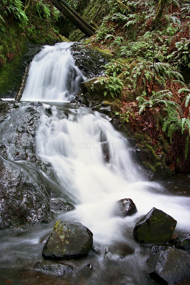 209 Film Gorge Stock Photos - Free & Royalty-Free Stock Photos from ...