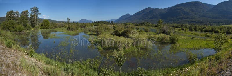 Columbia River at Brisco in British Columbia,Canada Stock Photo - Image ...