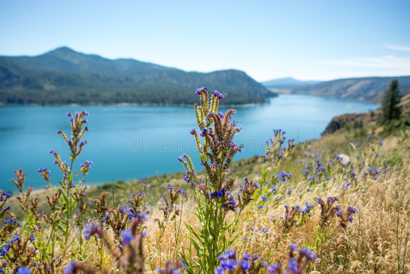 Columbia River Scenes on a Beautiful Sunny Day Stock Image - Image of ...