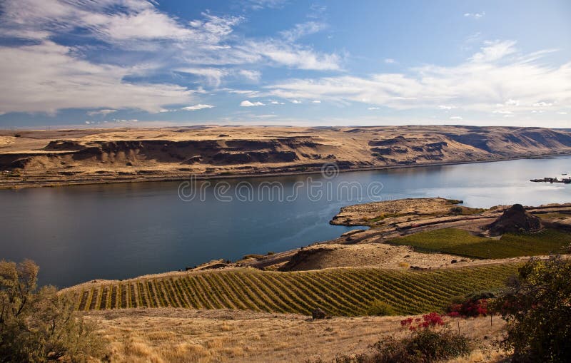 Columbia River from Washington Stock Photo - Image of brown, state ...