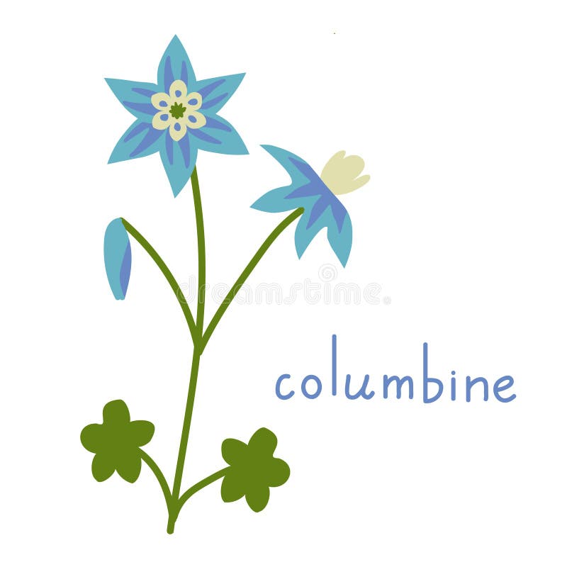 Columbine Stock Illustrations – 2,379 Columbine Stock Illustrations ...