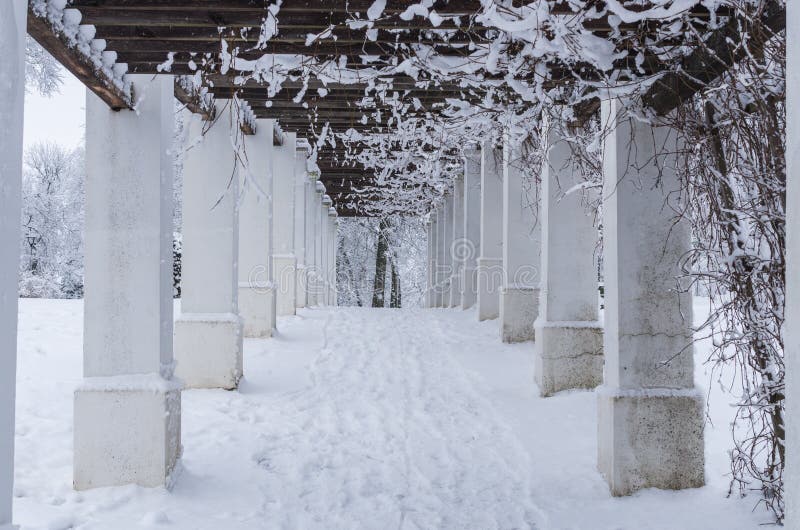 Column Alley in Winter Period Stock Image - Image of park, public: 84204283