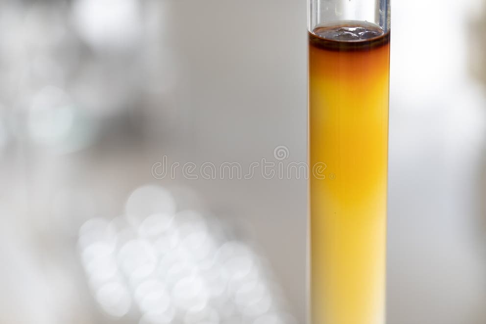 Column Chromatography Chemistry in Lab. Stock Photo - Image of clean ...