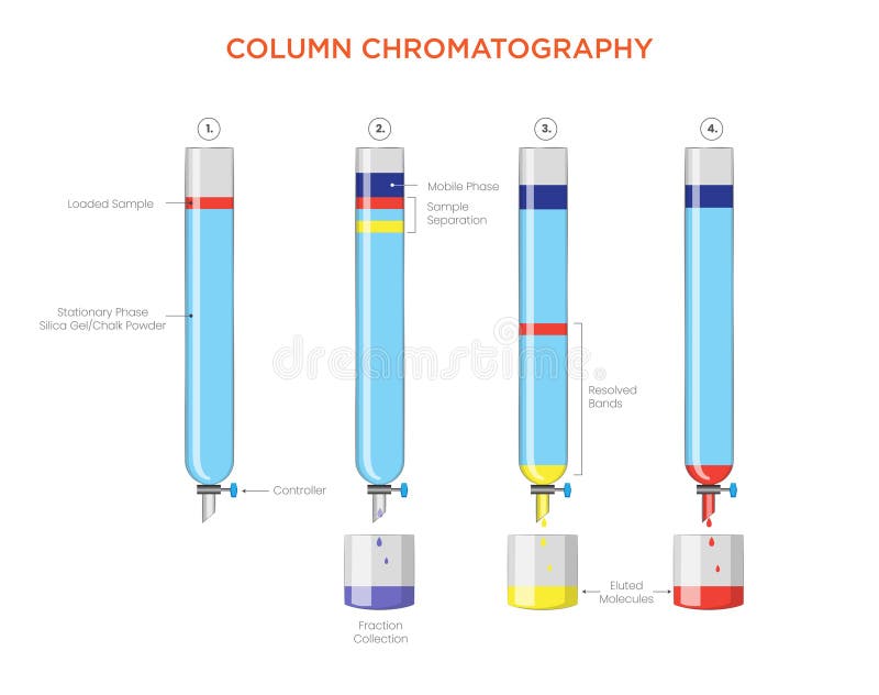 Efficient Separation Technique Column Chromatography Stock Vector ...