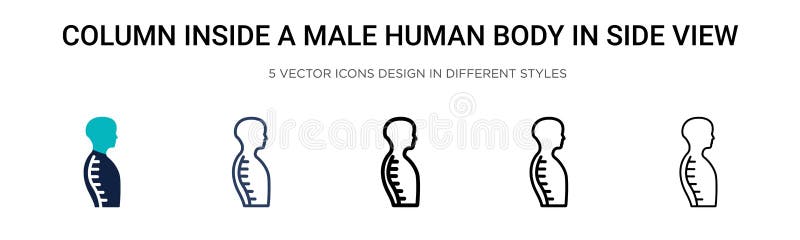 Column Inside a Male Human Body in Side View Icon in Filled, Thin Line ...
