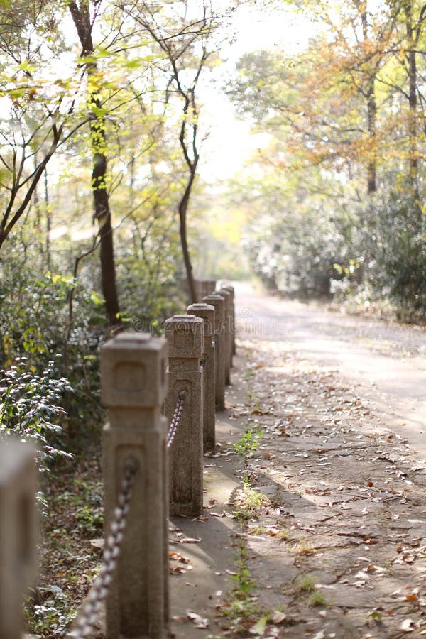 Column stock photo. Image of column, shape, architecture - 42809616
