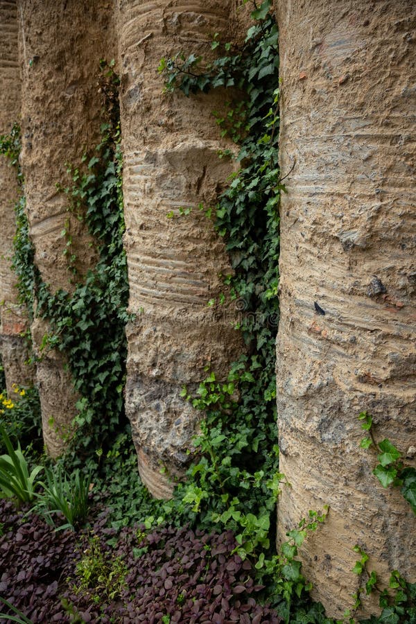 Column wall, decoration stock photo. Image of plant - 357277340