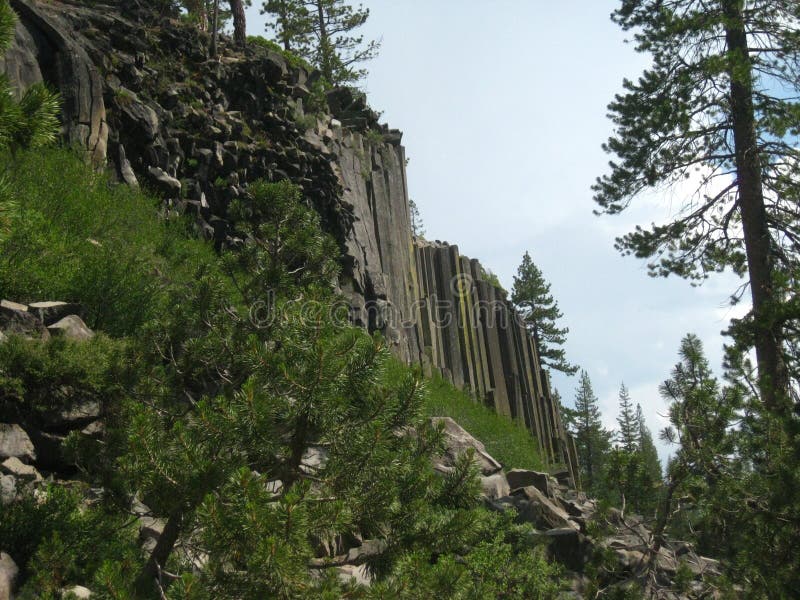 Columnar Basalt through Trees at Devil S Postpone National Monument ...