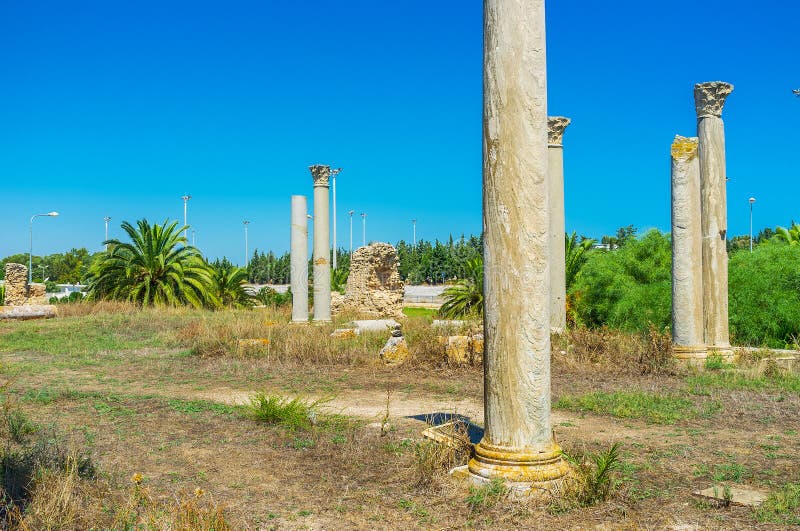 The Antique Columns, Carthage, Tunisia Stock Image - Image of roman ...