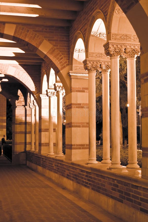 Columns and posts stock image. Image of college, trees - 6684035