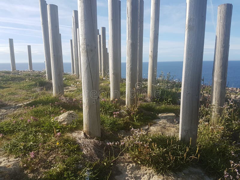 Wood columns in the cliff stock image. Image of columns - 244410745