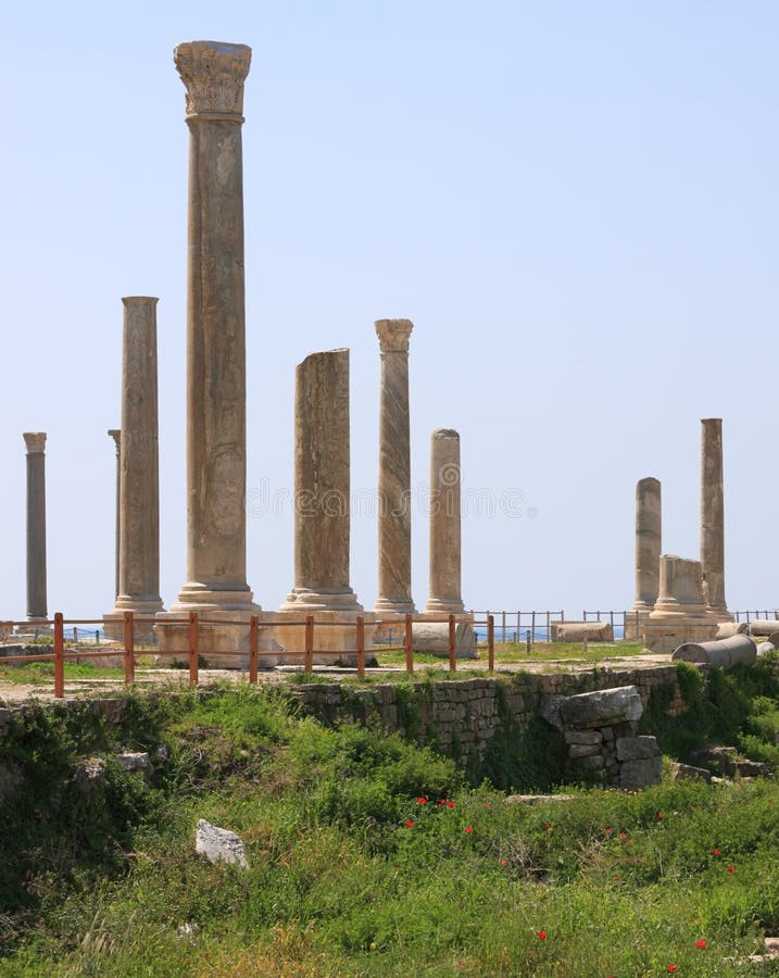 Colunas Romanas Em Baalbek, Líbano Imagem de Stock - Imagem de antigo ...
