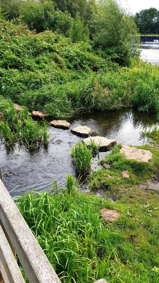 Colwick lake stock photo. Image of green, lake, nature - 155827302