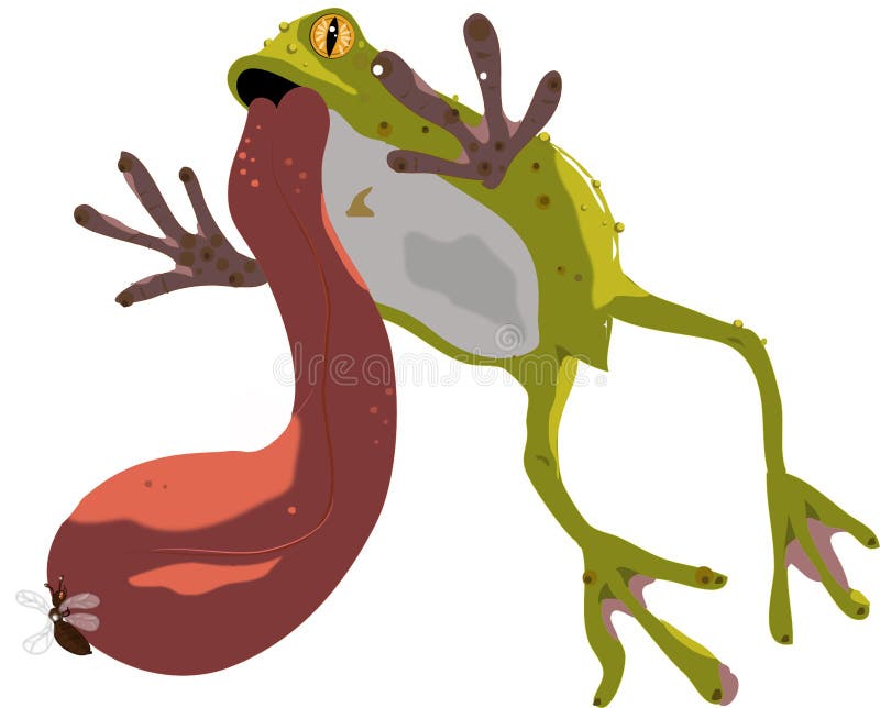 Come La Rana Ilustraciones Stock, Vectores, Y Clipart – (23 ...