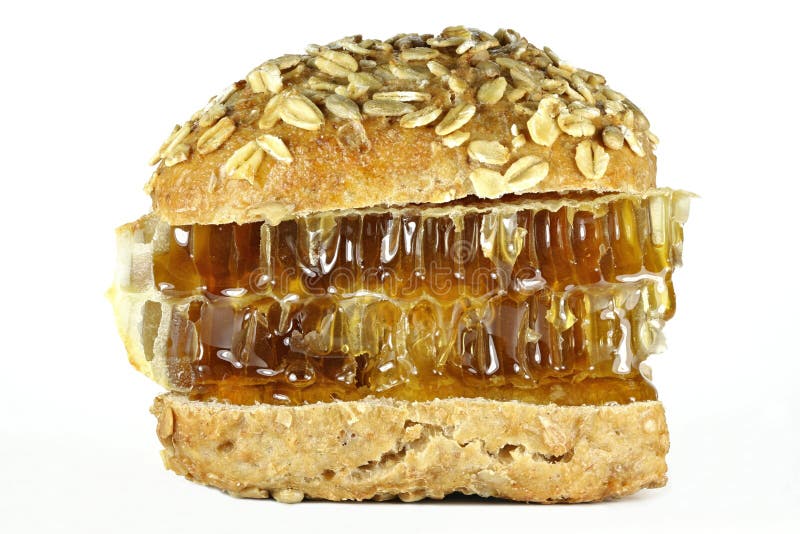 Honey bee burger stock photo. Image of burger, yokosuka - 55340734