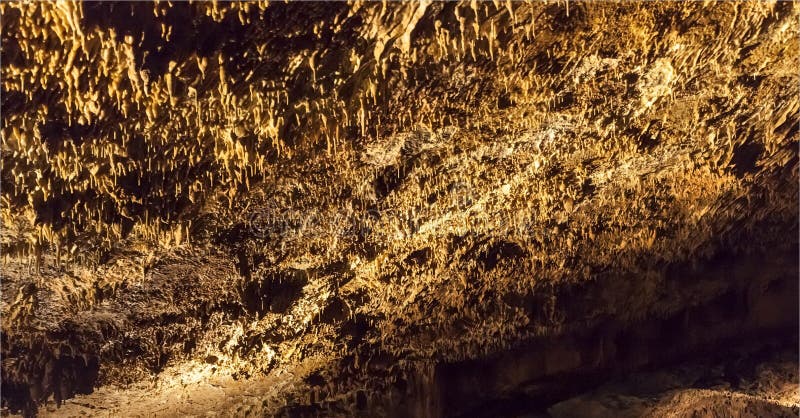 Comb stock image. Image of lamp, beauty, picturesque - 46788517