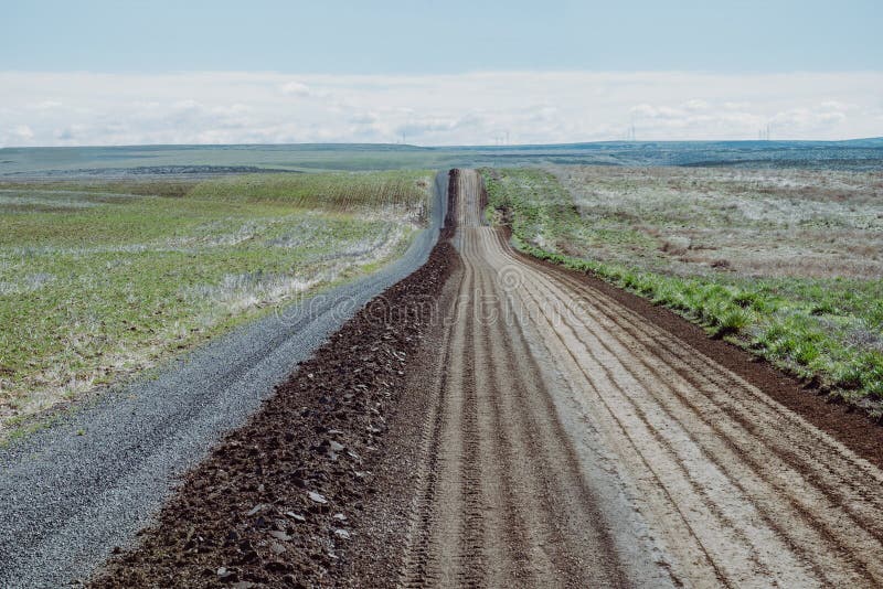 Comb Over.NEF stock image. Image of rural, county, farm - 211298799