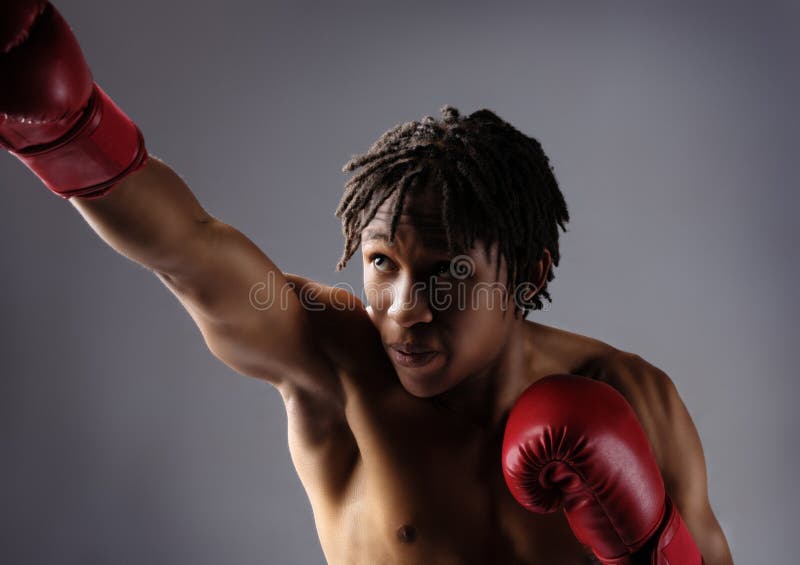 Combattant Masculin De Boxe Photo stock - Image du combattant, boxe ...