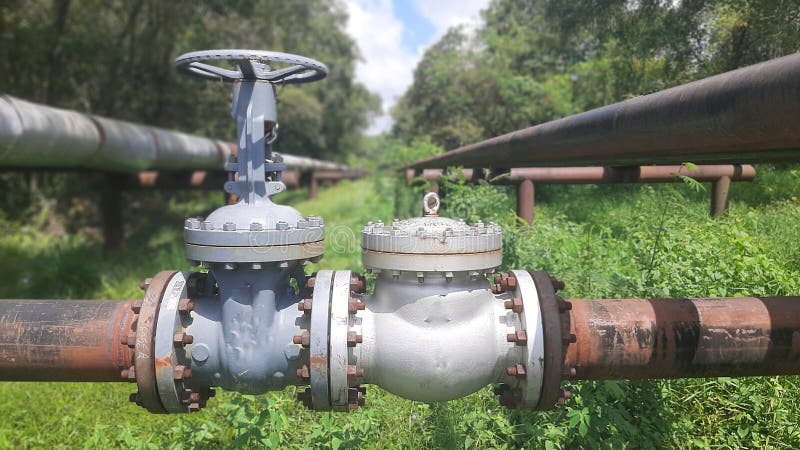 Combination between Ball Valve and Check Valaves are Common in Piping ...