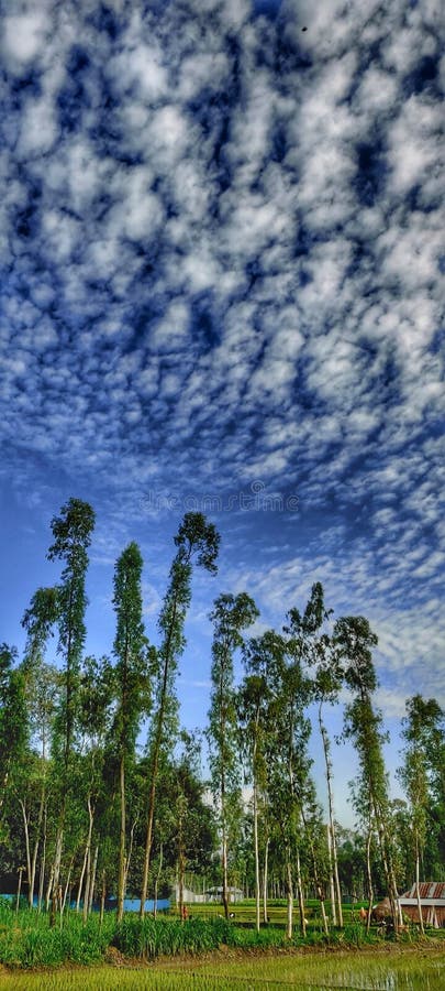 Combination of Blue & Green in Nature Stock Image - Image of nature ...