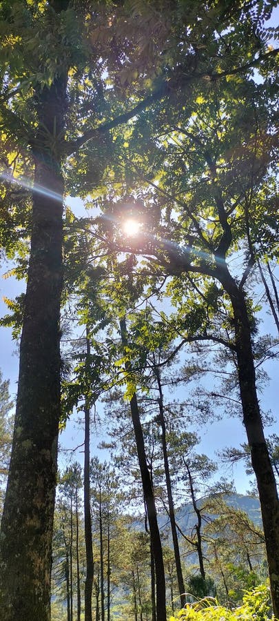 The Combination of Colors of Life Becomes a Beauty Stock Photo - Image ...