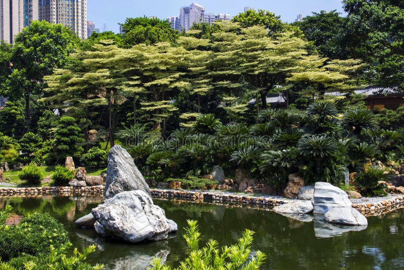 The Combination of Greenery, Rocks and Air, Makes the Pool View Even ...