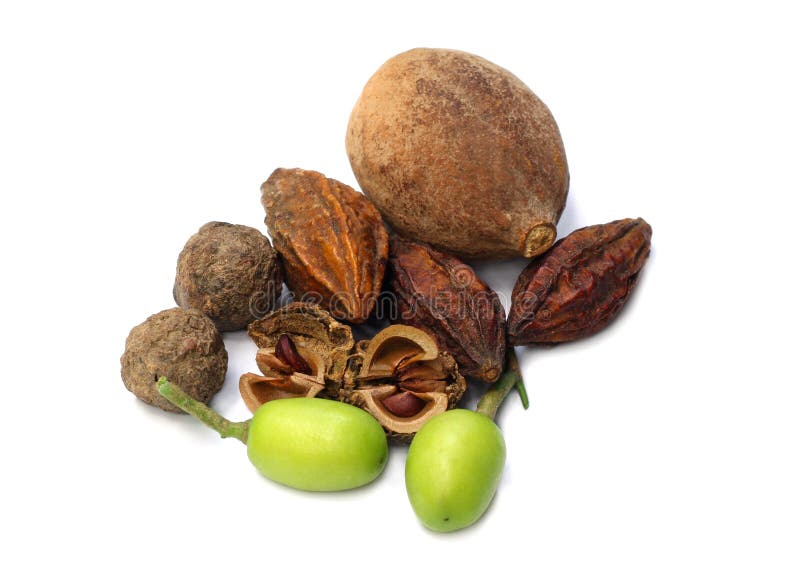 Combination of Herbal Medicinal Fruits Stock Image - Image of indian ...
