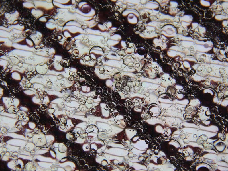 Orbis stock illustration. Illustration of grey, batik - 306007706