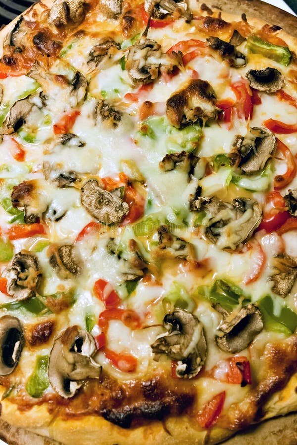 Combination Pizza Toppings stock photo. Image of garlic - 23716902