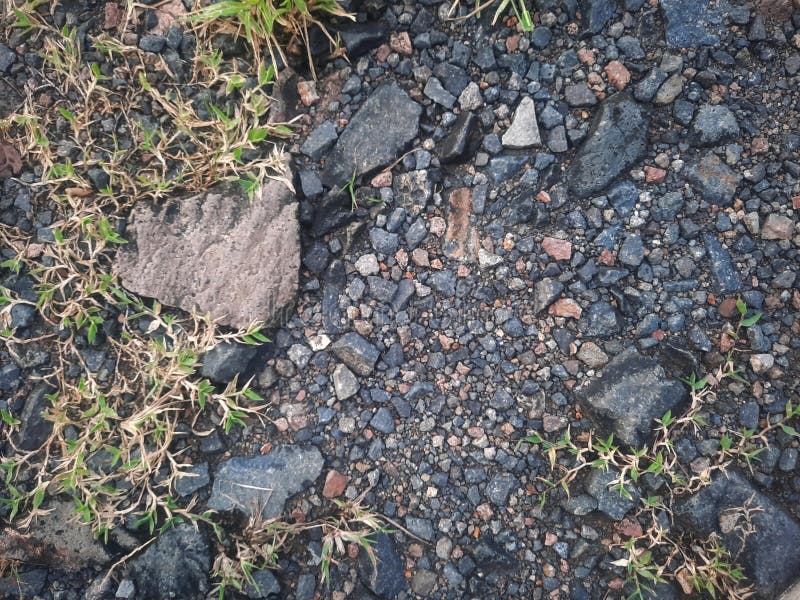 The Combination of Rock and Grass Textures Makes for a Very Interesting ...