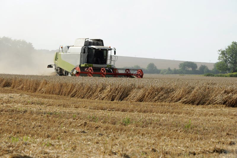 Combine stock photo. Image of industry, trees, powder - 20528700