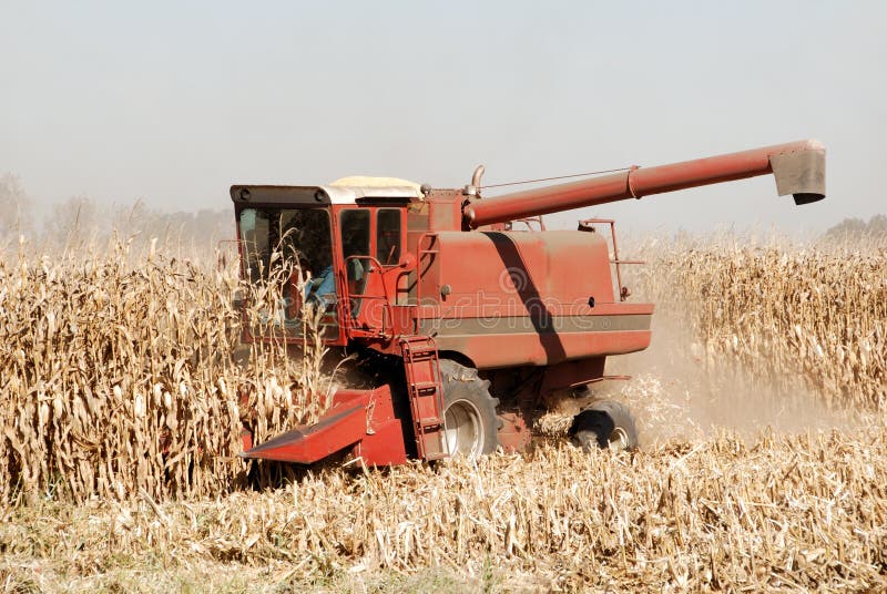 Combine and Corn stock photo. Image of biofuels, clean - 3643920