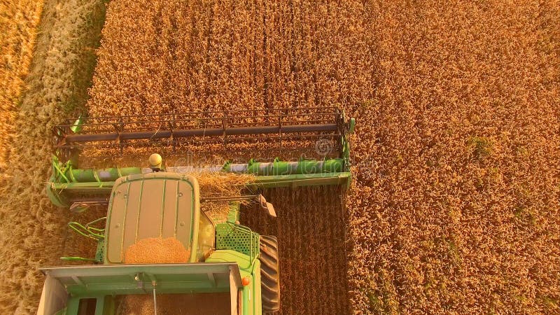 Combine Cutting Wheat, Top View. Stock Photo - Image of farmland, field ...