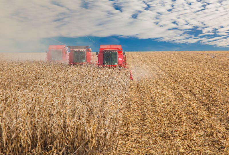 Combine in a field stock image. Image of machine, autumn - 34916357