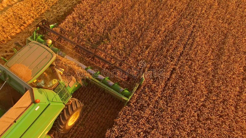 Combine and field. stock photo. Image of farmland, autumn - 143047440