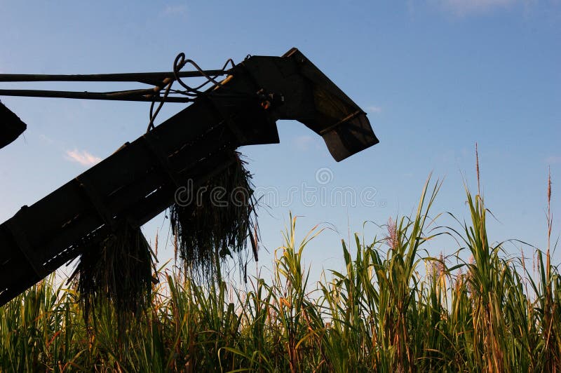 Sugar Cane - Tractor And Combine Harvesting Sugar Cane Stock Photo ...