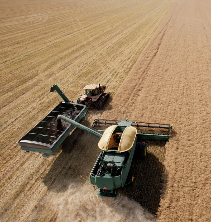 Combine and Grain Cart stock image. Image of farm, outdoor - 22020645