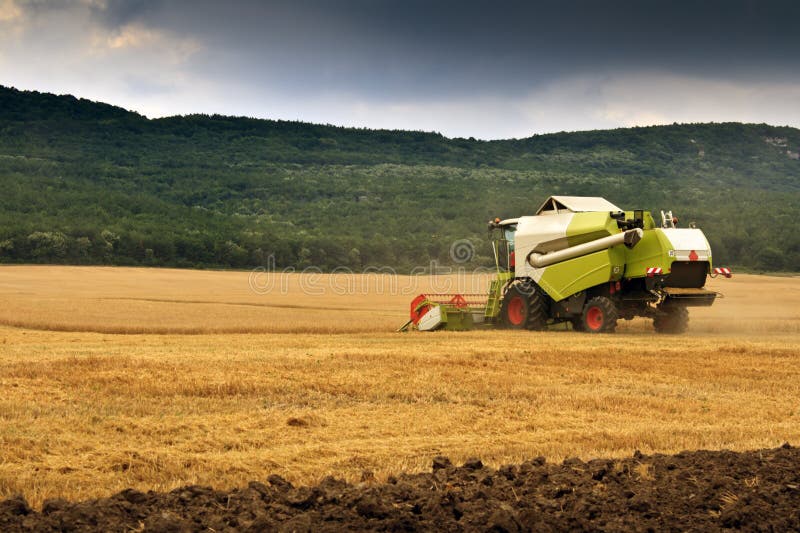 Combine harvested wheat stock image. Image of farmland - 25482285