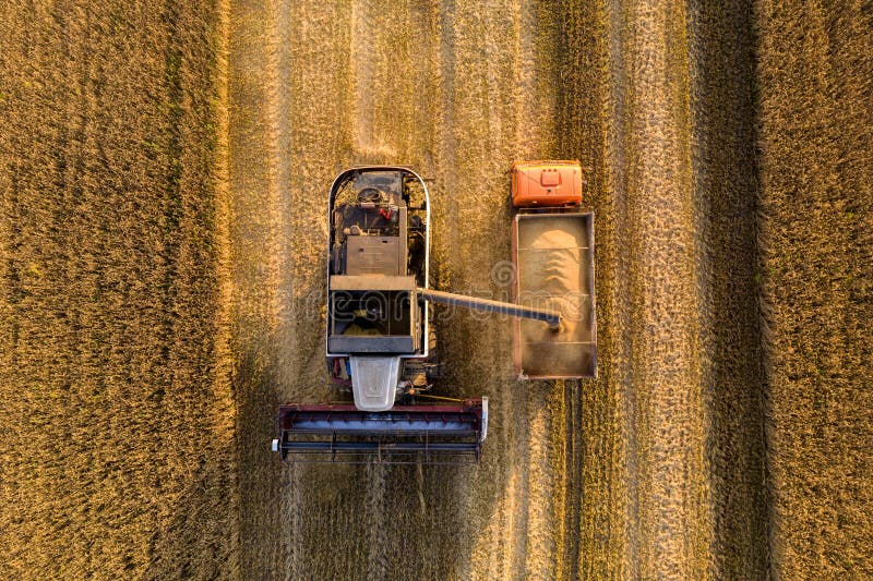 Combine Harvester. Aerial View Stock Photo - Image of aerial, cereals ...
