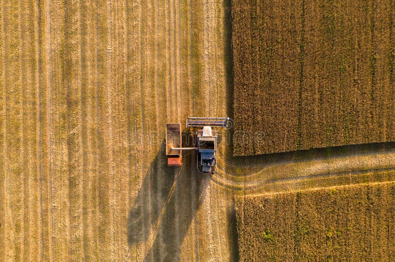 Combine Harvester. Aerial View Stock Image - Image of aerial, cereals ...